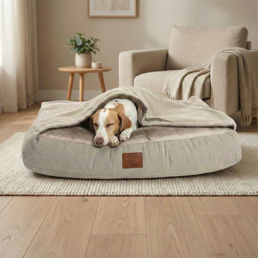 Snuggle Sack Dog Bed Luxury Maisey Daisey Ltd snuggle-sack-dog-bed-luxury-maisey-daisey-ltd