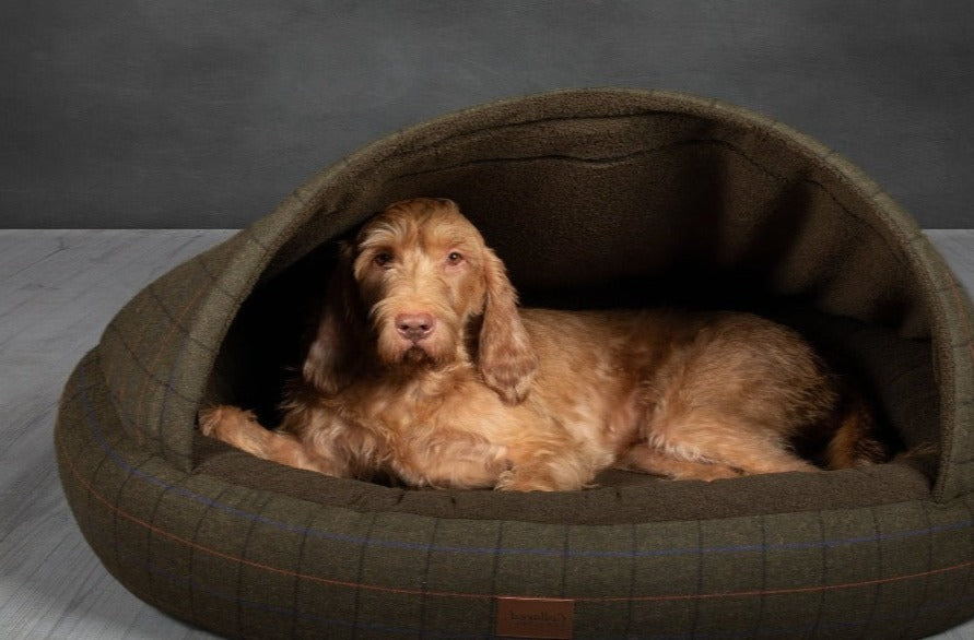 Deluxe Cocoon bed – Maisey Daisey Ltd